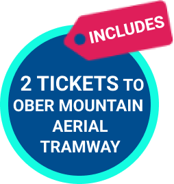 VacationVIP | 4-Day Gatlinburg Resort Getaway Only $108 Total!